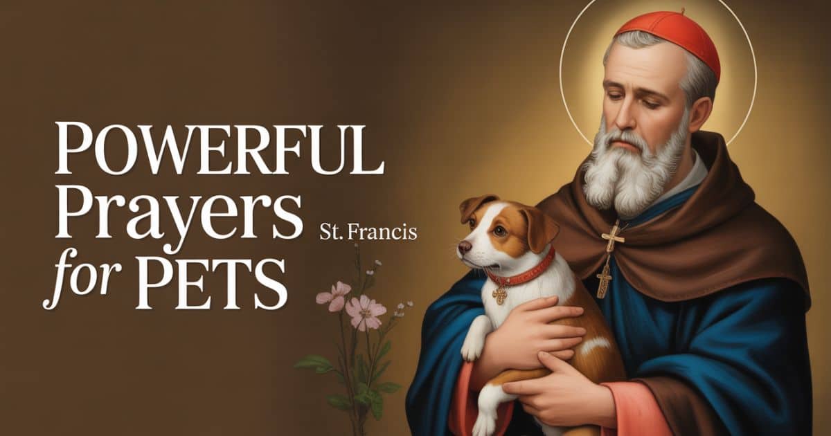 25+ Powerful Prayers For Pets St Francis: Finding Divine Comfort for ...