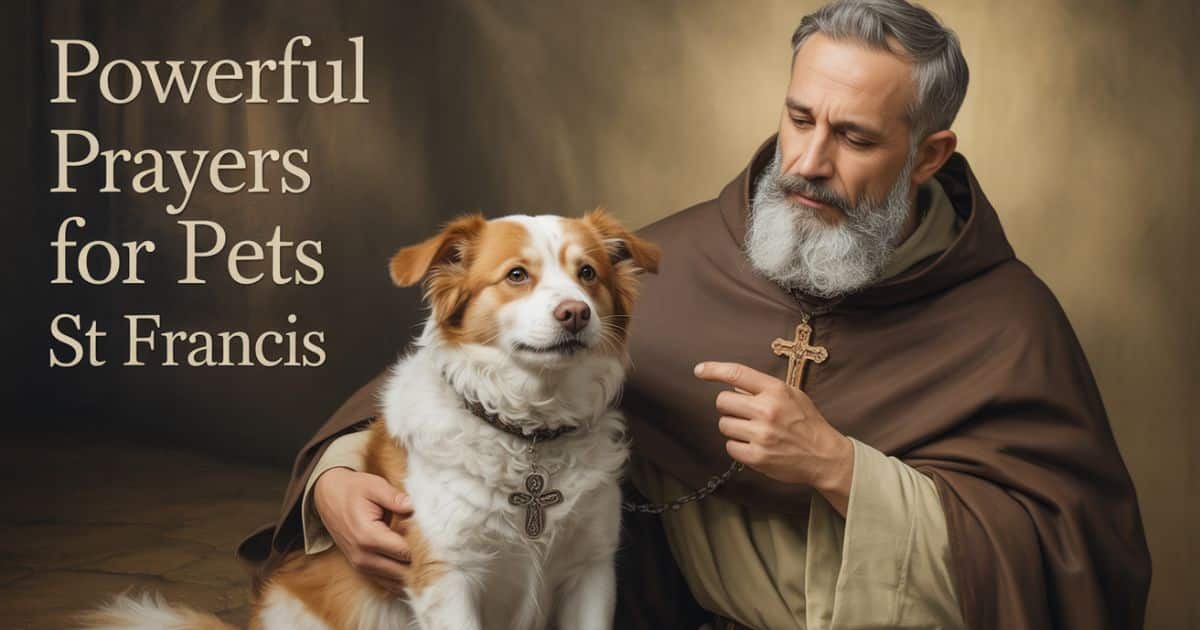25+ Powerful Prayers For Pets St Francis: Finding Divine Comfort for ...